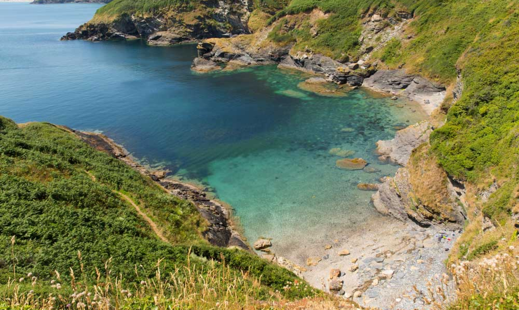 Mega 900-acre carbon eating sea meadow is discovered - Noreus - All ...